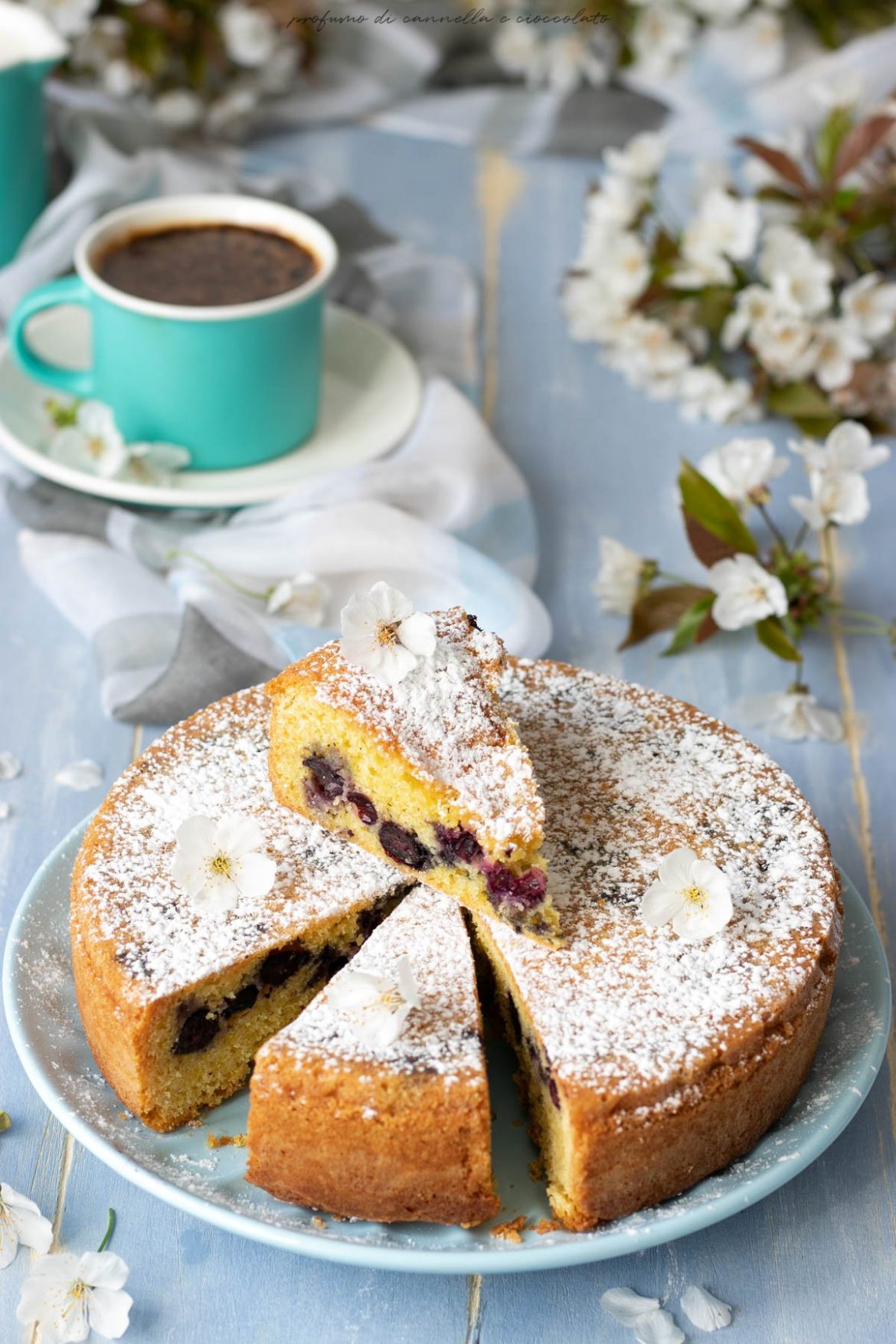 Torta ai mirtilli | Profumo di Cannella e Cioccolato