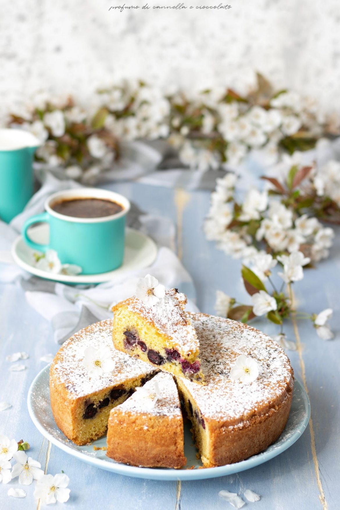 Torta ai mirtilli | Profumo di Cannella e Cioccolato